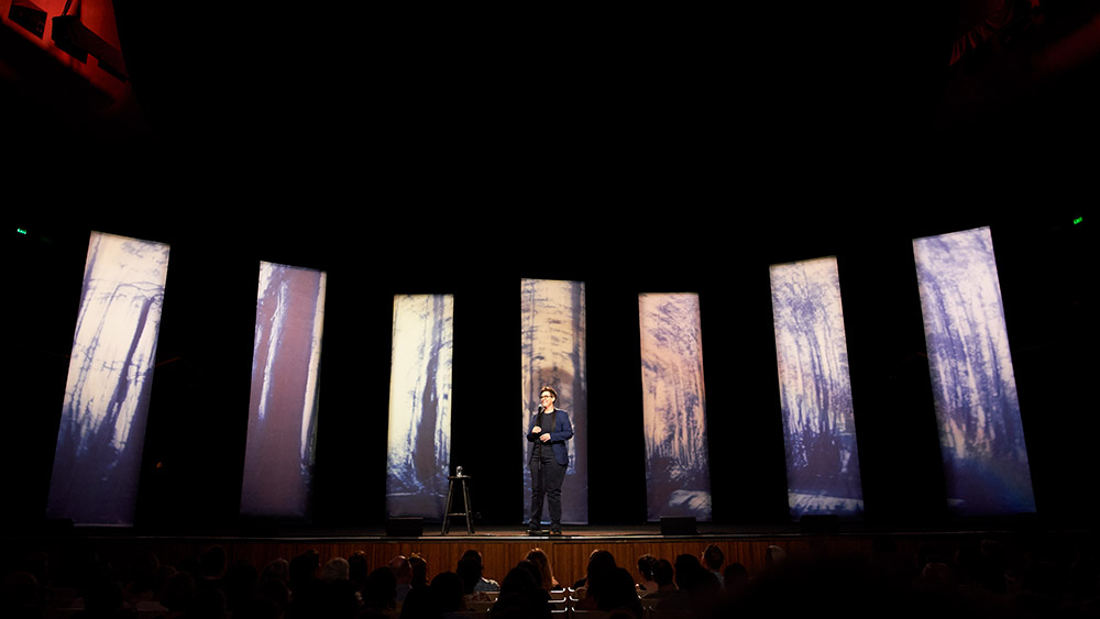 'Hannah Gadsby: Nanette' Netflix Standup Special Review